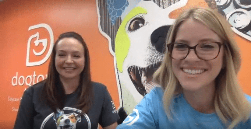 dog training Archives - Dogtopia