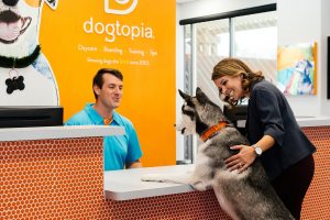 Our Locations | Dogtopia