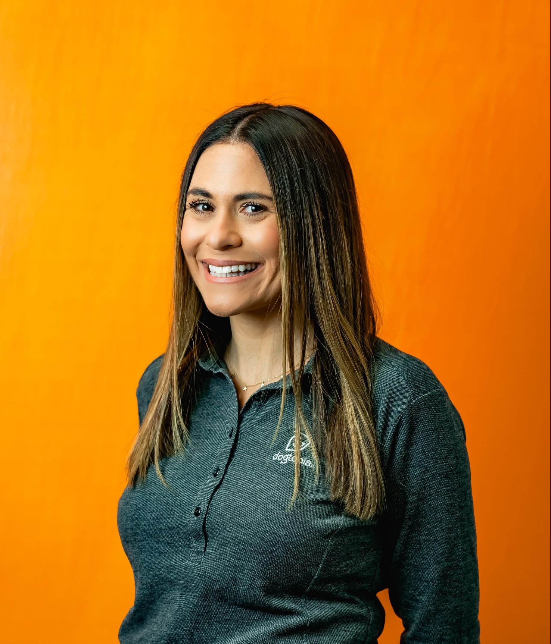 Support Team | Dogtopia