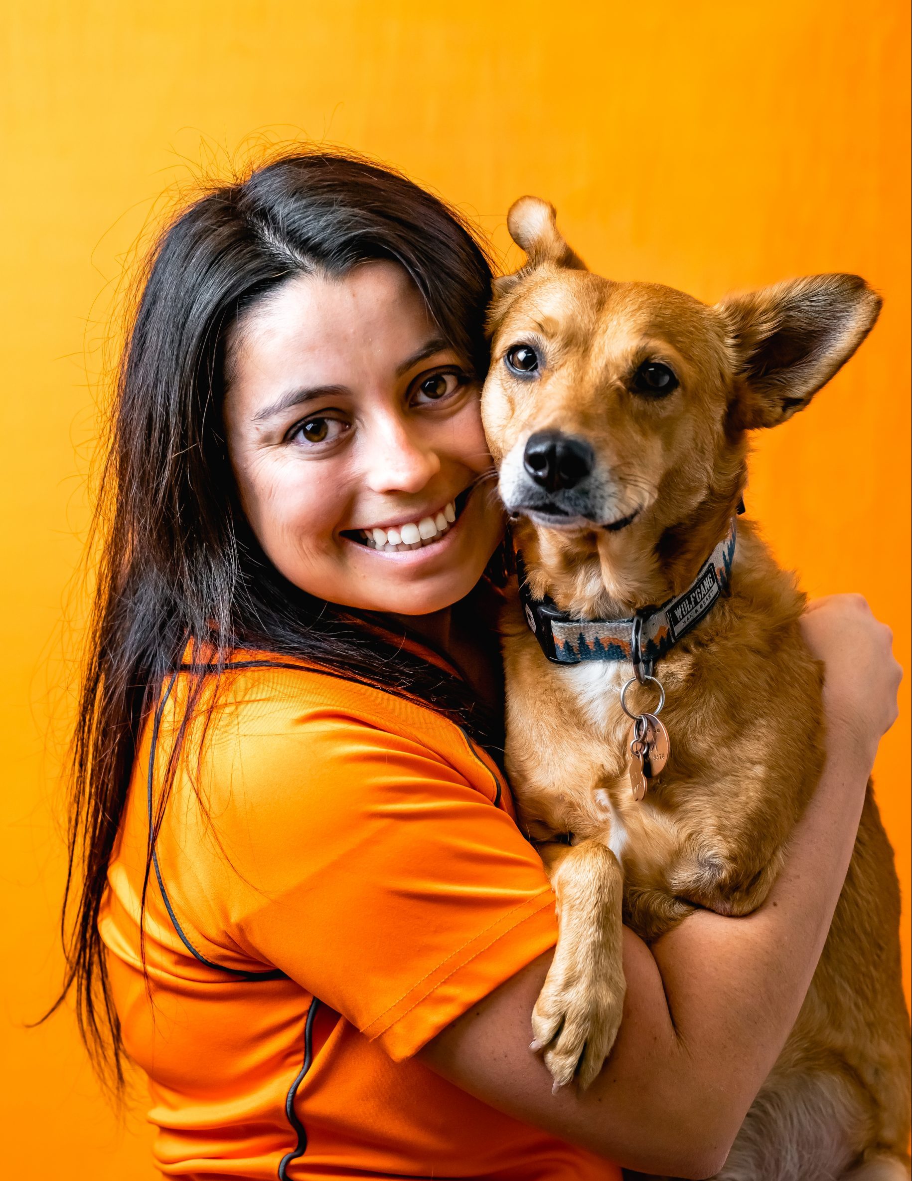 Support Team | Dogtopia