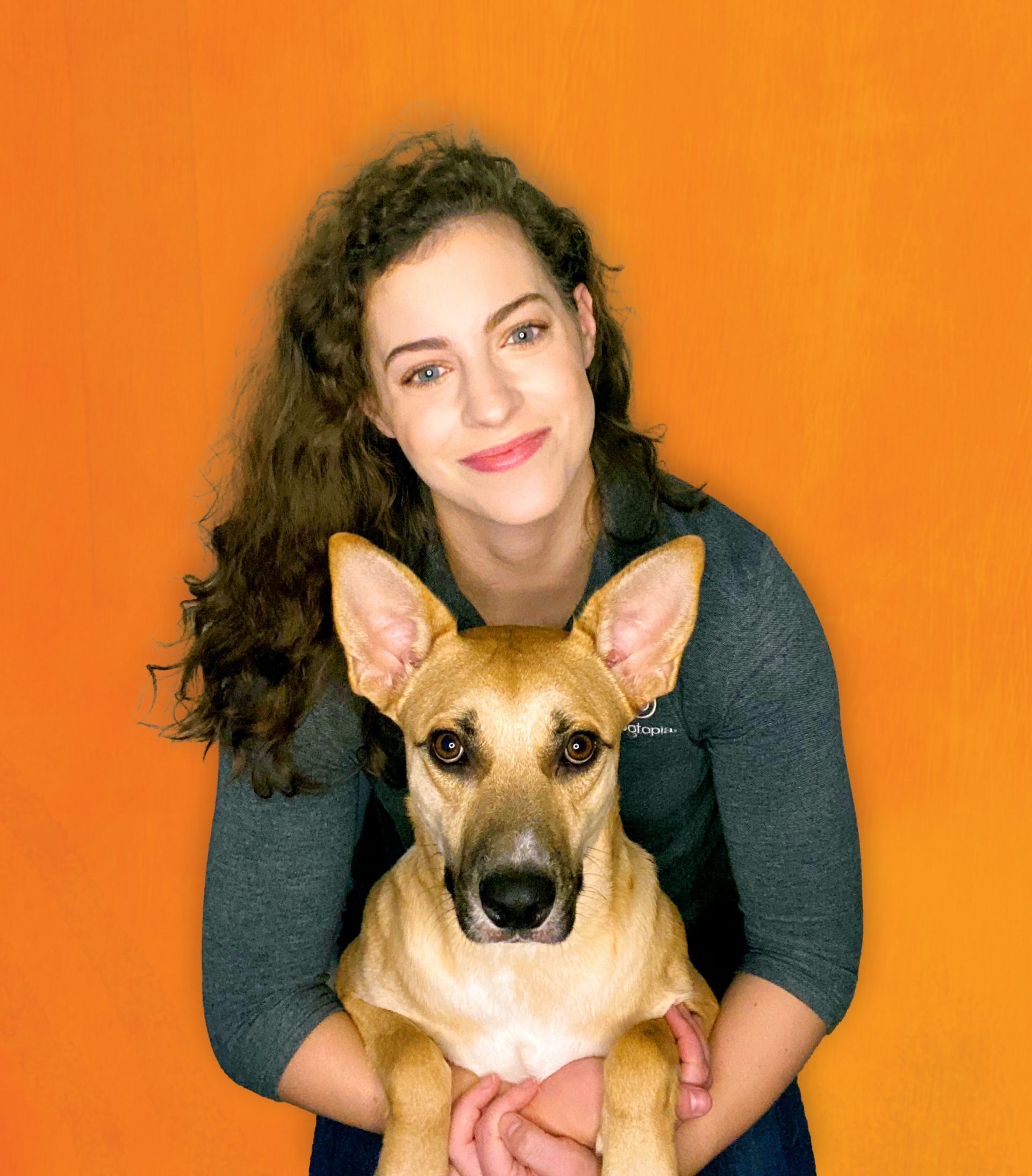 Support Team | Dogtopia