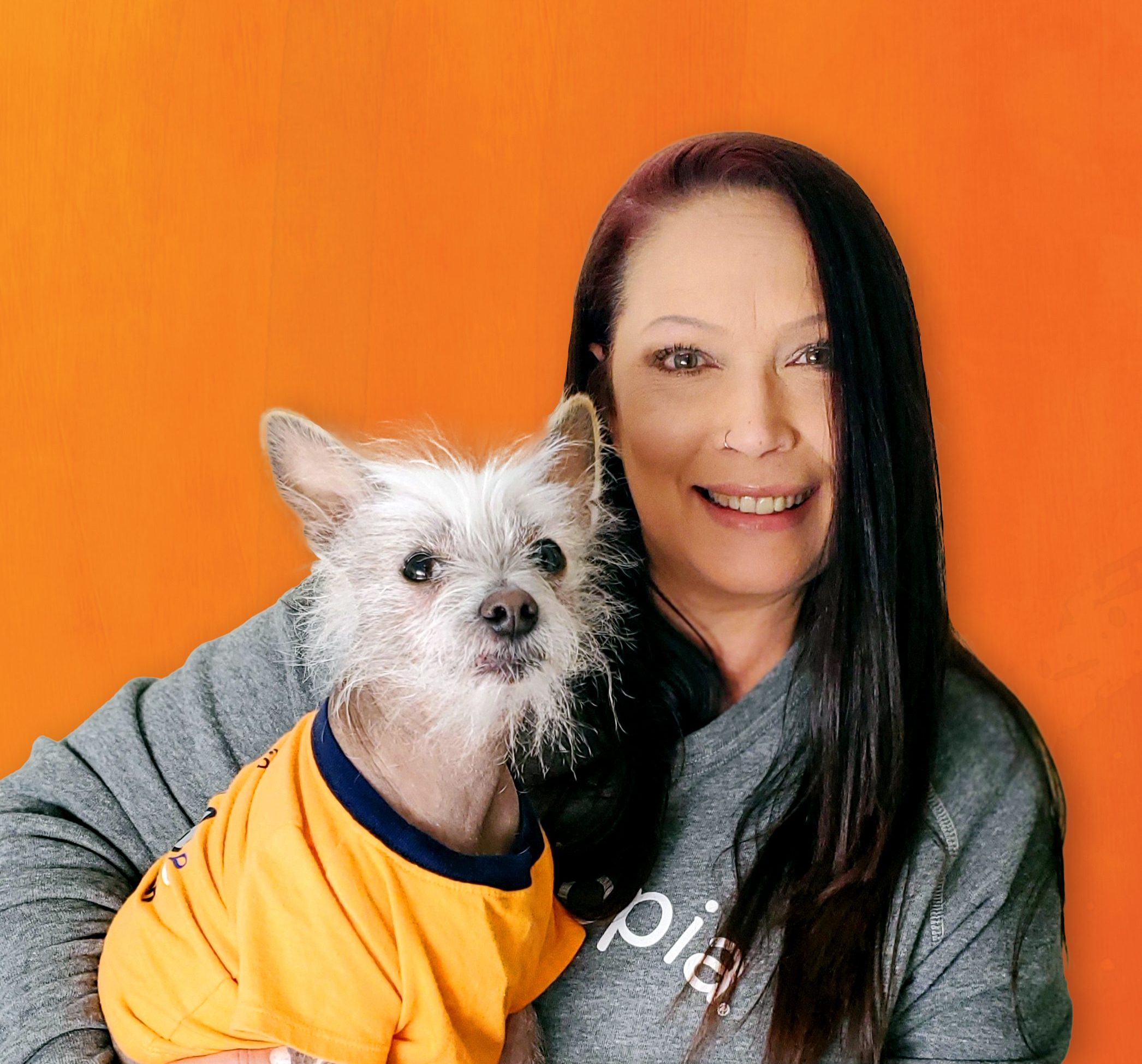 Support Team | Dogtopia