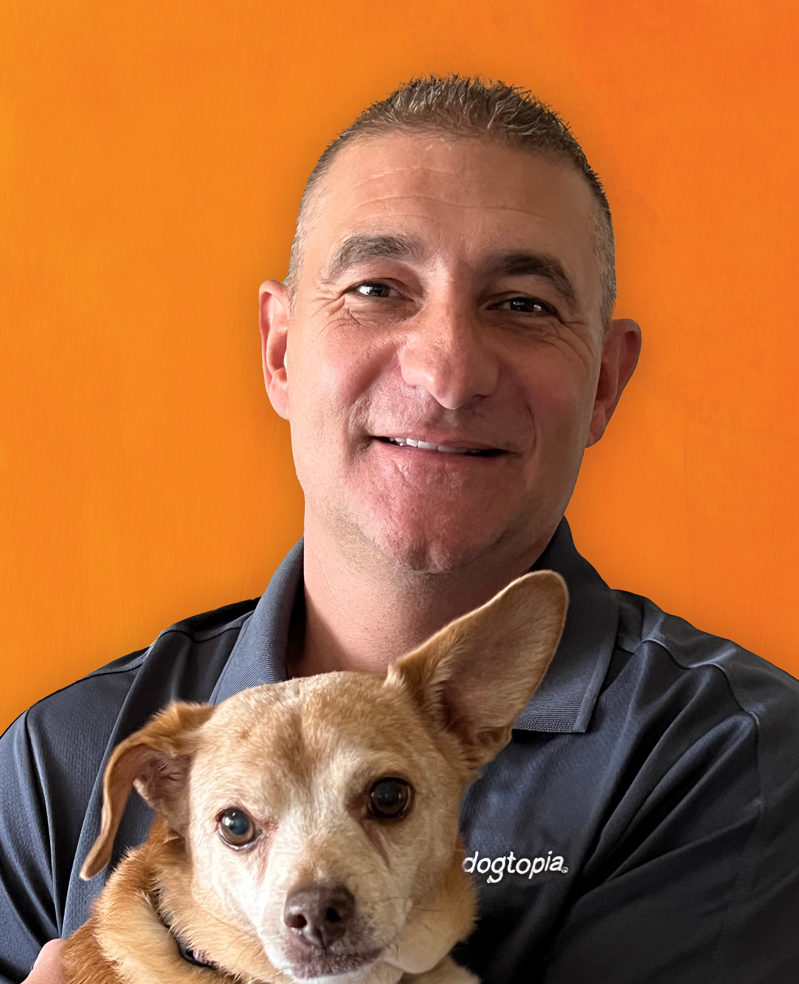 Support Team | Dogtopia