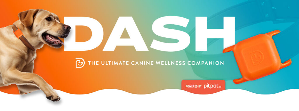 DASH - Activity Monitor - Dogtopia