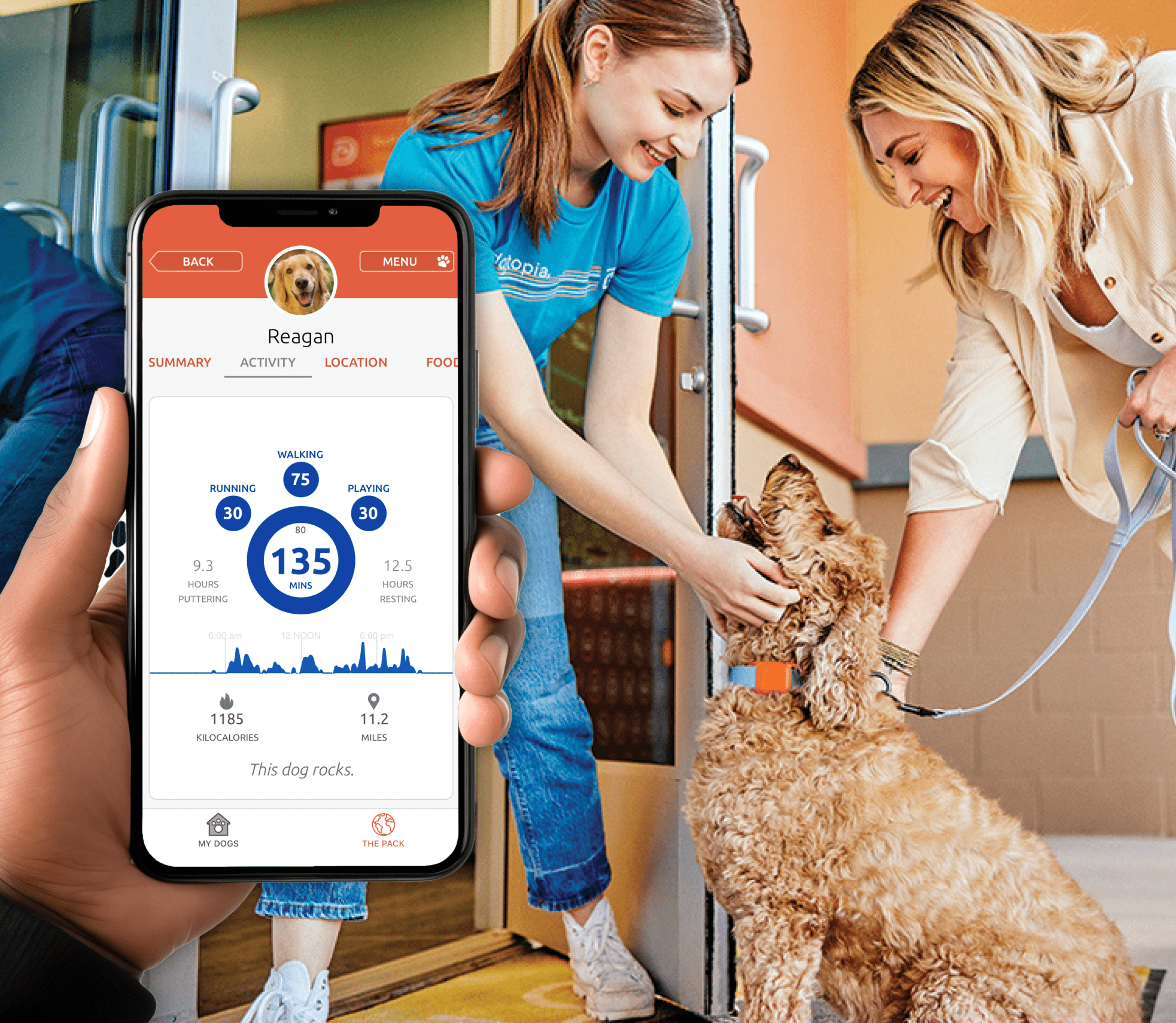 Award-Winning Dog Daycare | Dogtopia