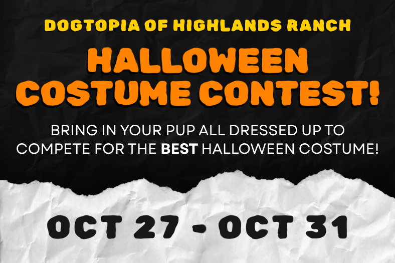 Halloween Costume Contest - Highlands Ranch