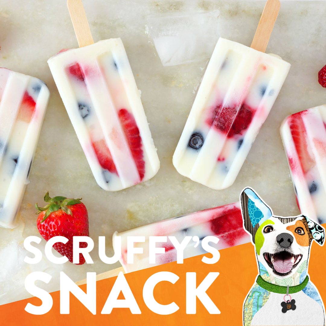 Scruffy Snack - Madison West
