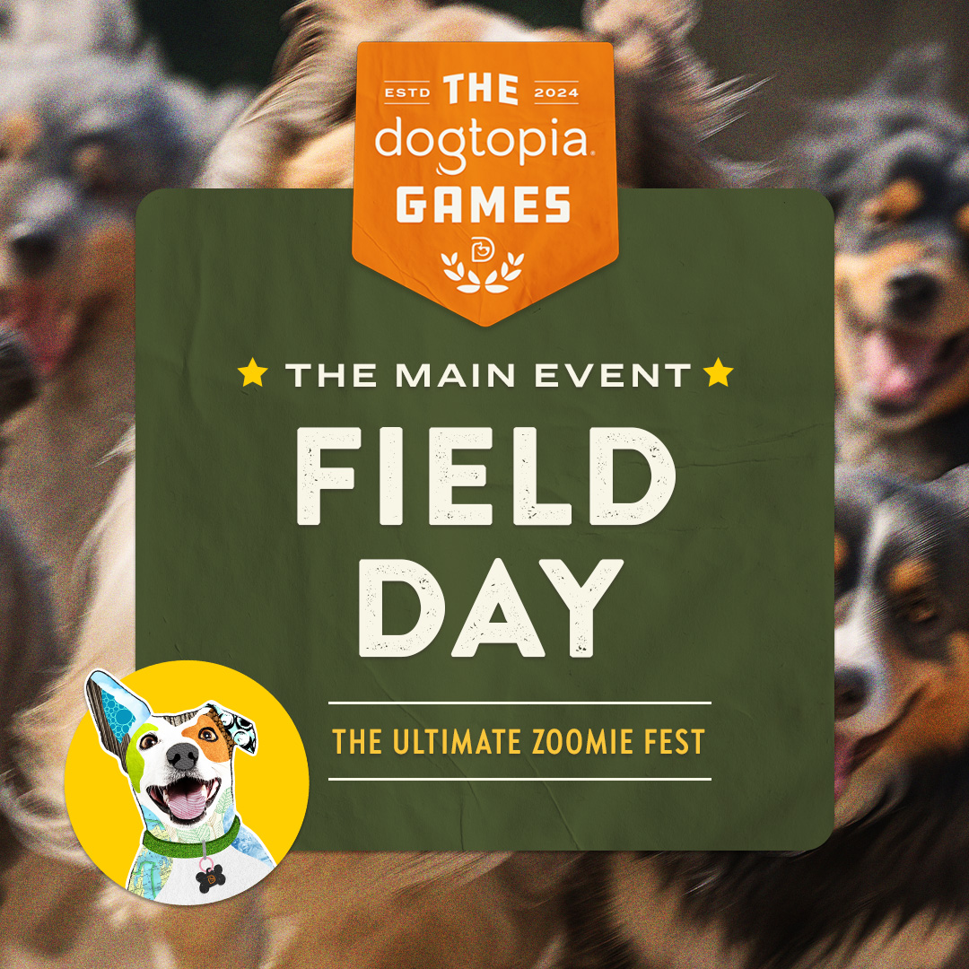 The Dogtopia Games: Field Day - Lafayette