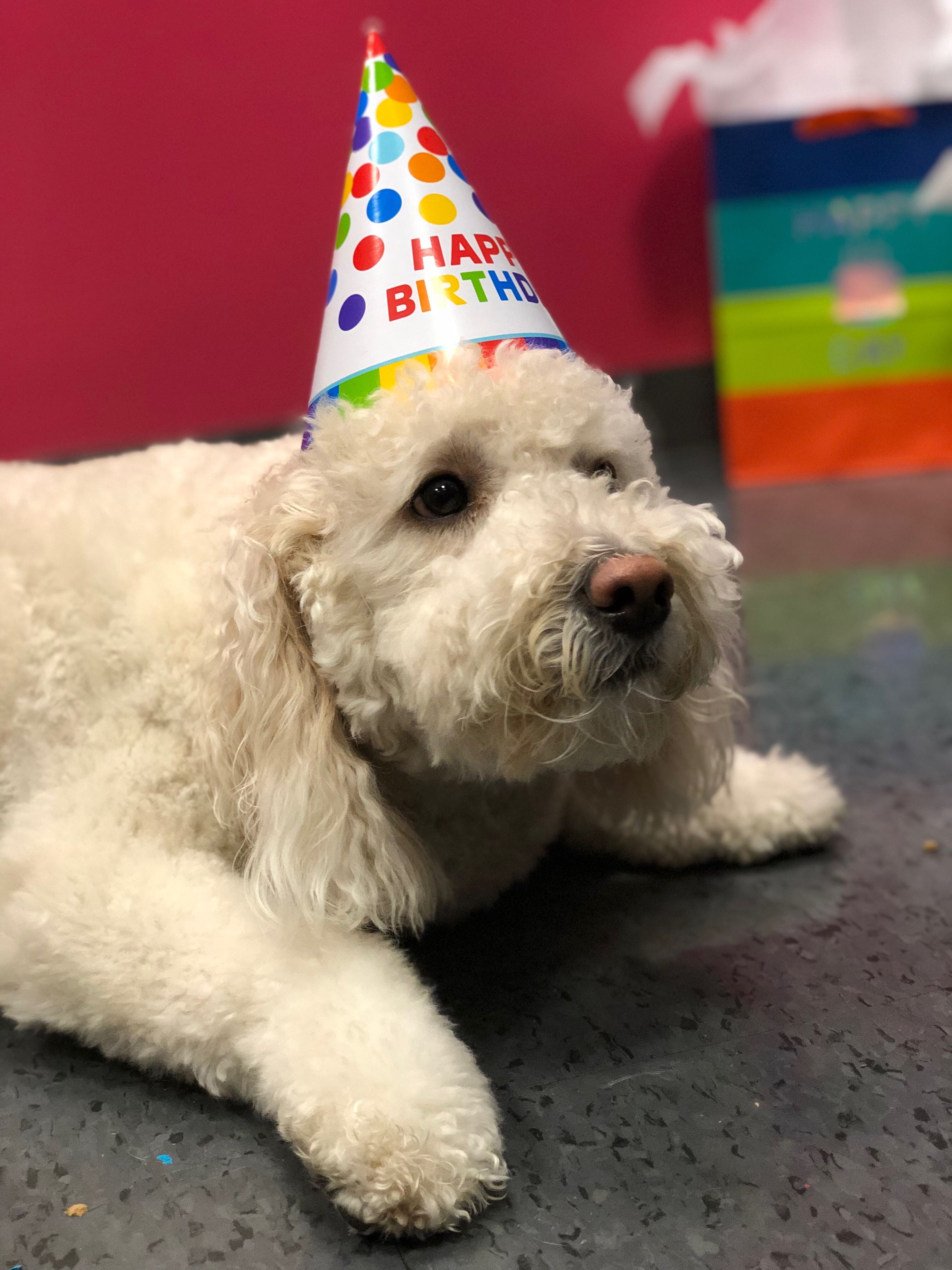 March Birthday Celebration - North Austin