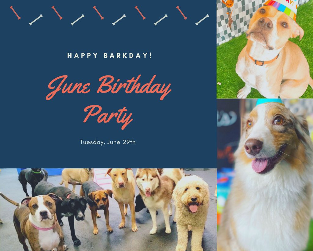 June Birthday Party! - North Austin