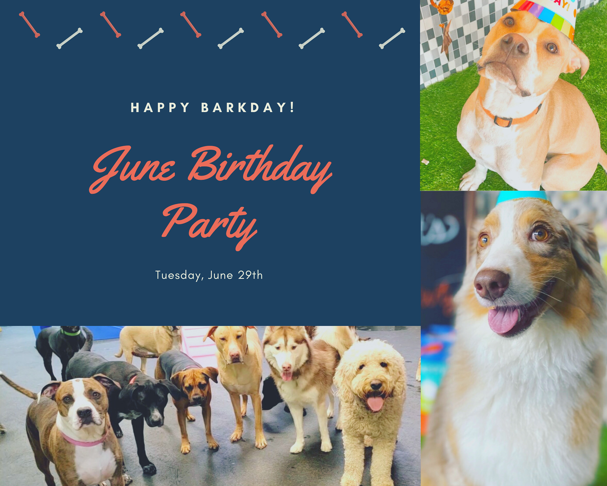 June Birthday Party! - North Austin