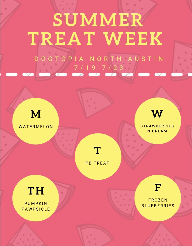 Summer Treat Week! - North Austin