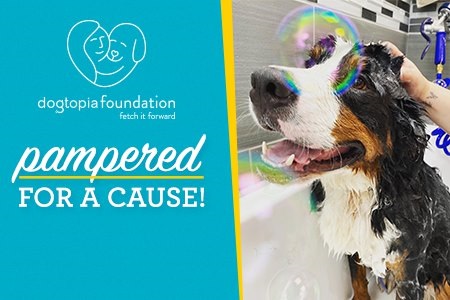 Spa Package Foundation Raffle! - North Austin