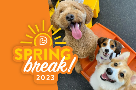 Spring Break Events! - North Austin