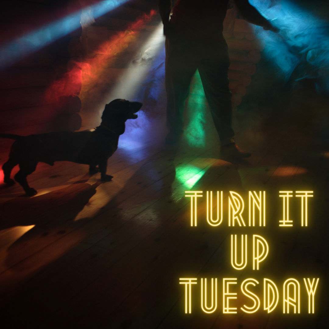Turn It Up Tuesday! - North Austin