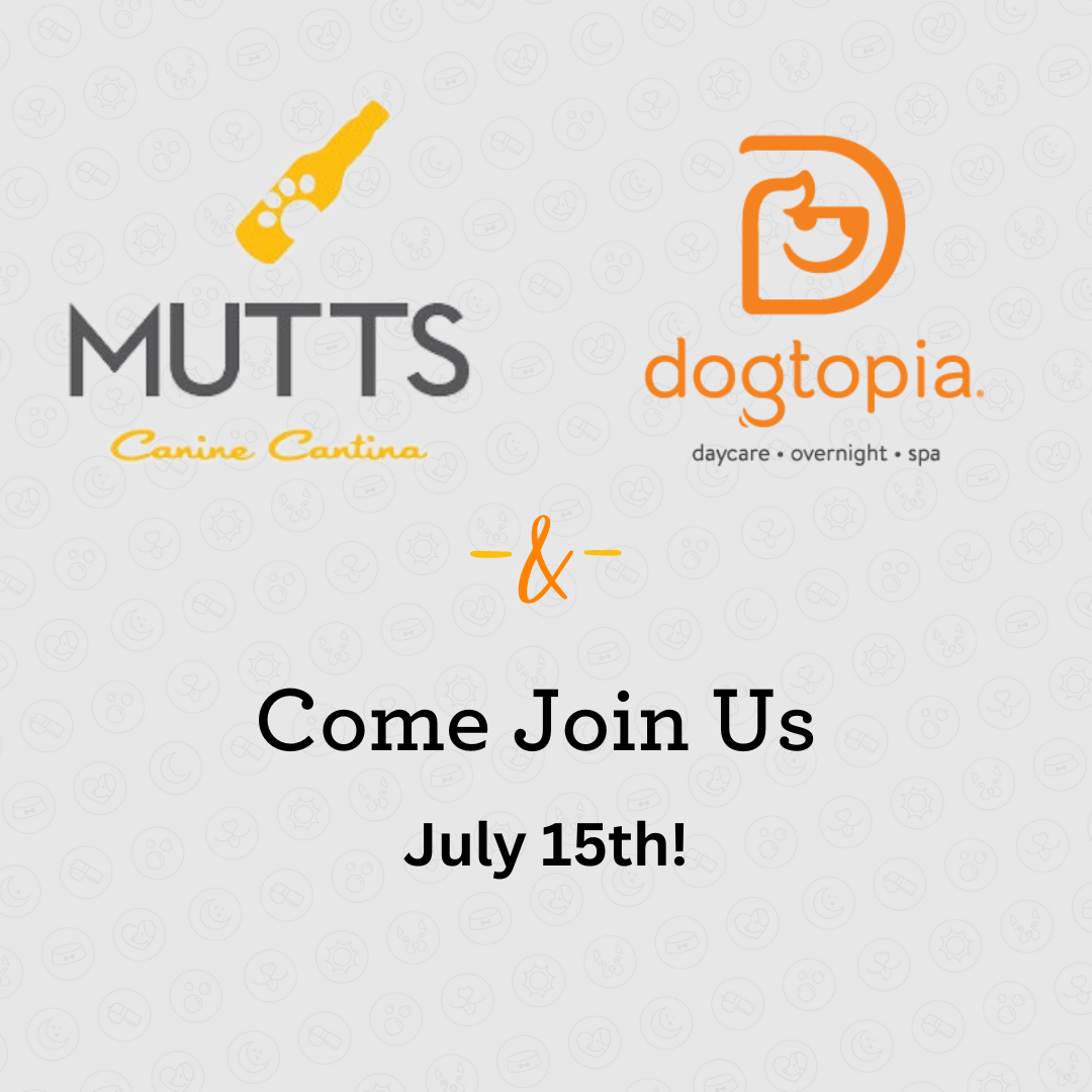 Mutts Grand Opening! - North Austin