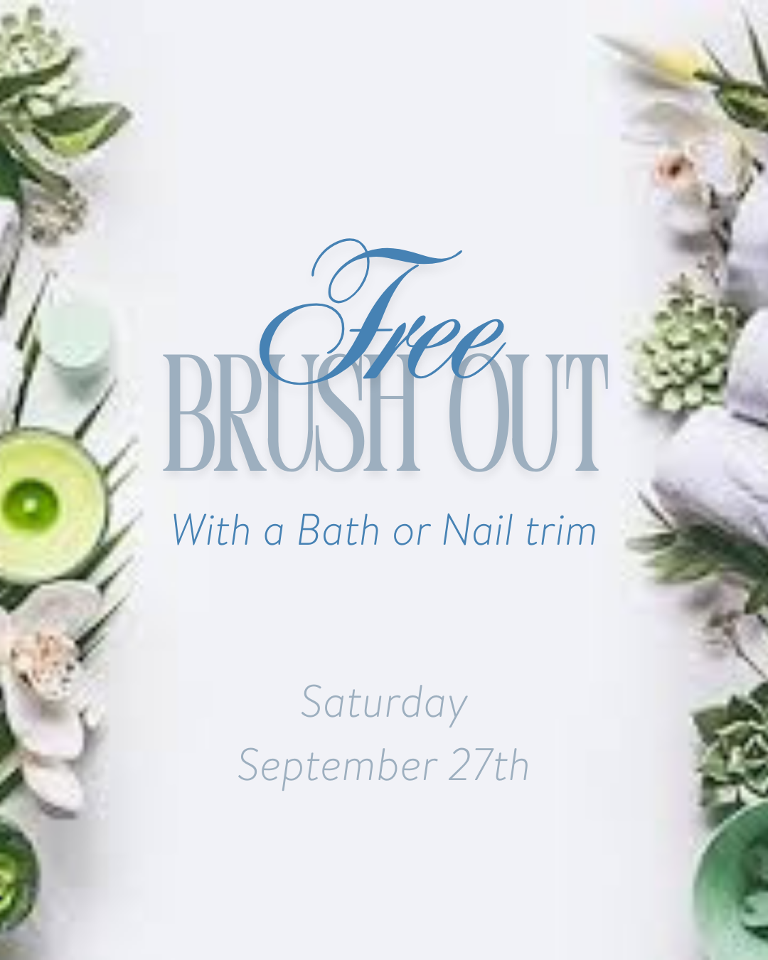 Free Brush-Outs - North Austin