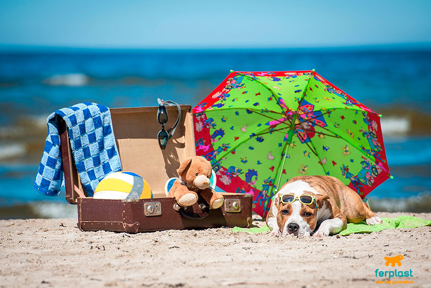 Beach Day - Anaheim Hills