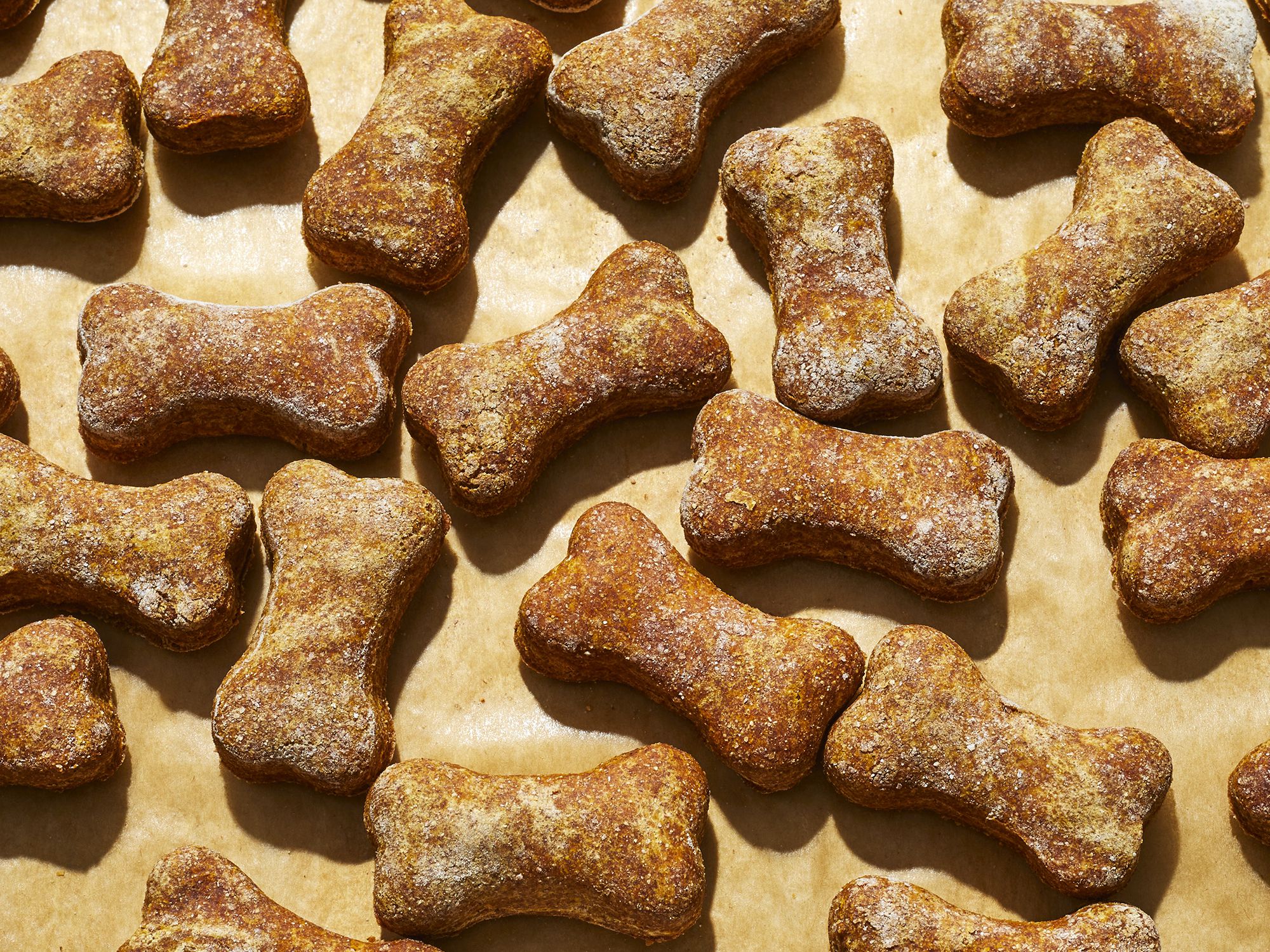 Pumpkin Treat Day - Anaheim Hills