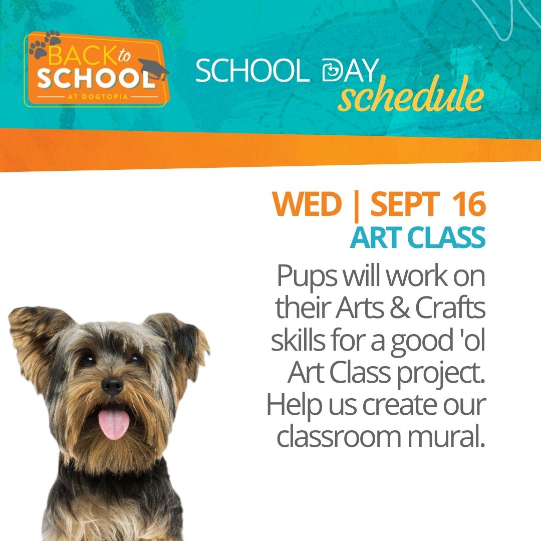 Art Class - Wilmington