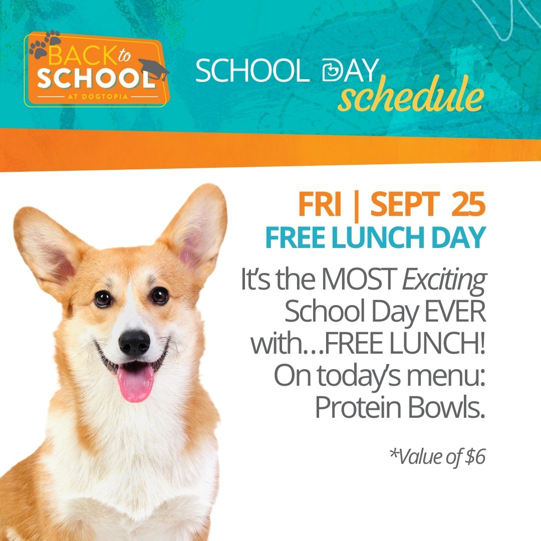 FREE LUNCH Day - Wilmington