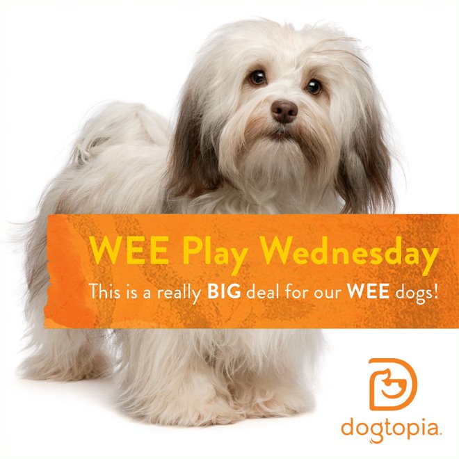 WEE Wednesday - Wilmington