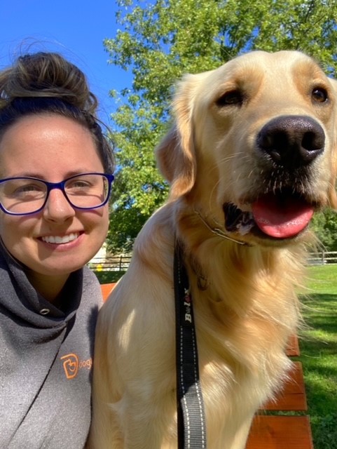 About the Team | Dogtopia Wilmington