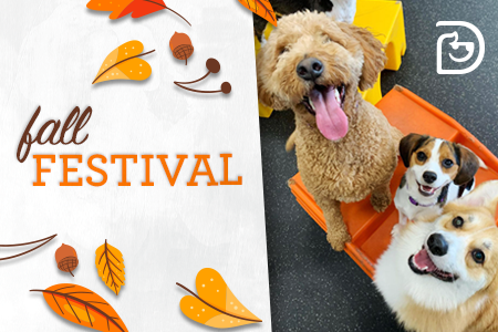 Fall Festival - Wilmington