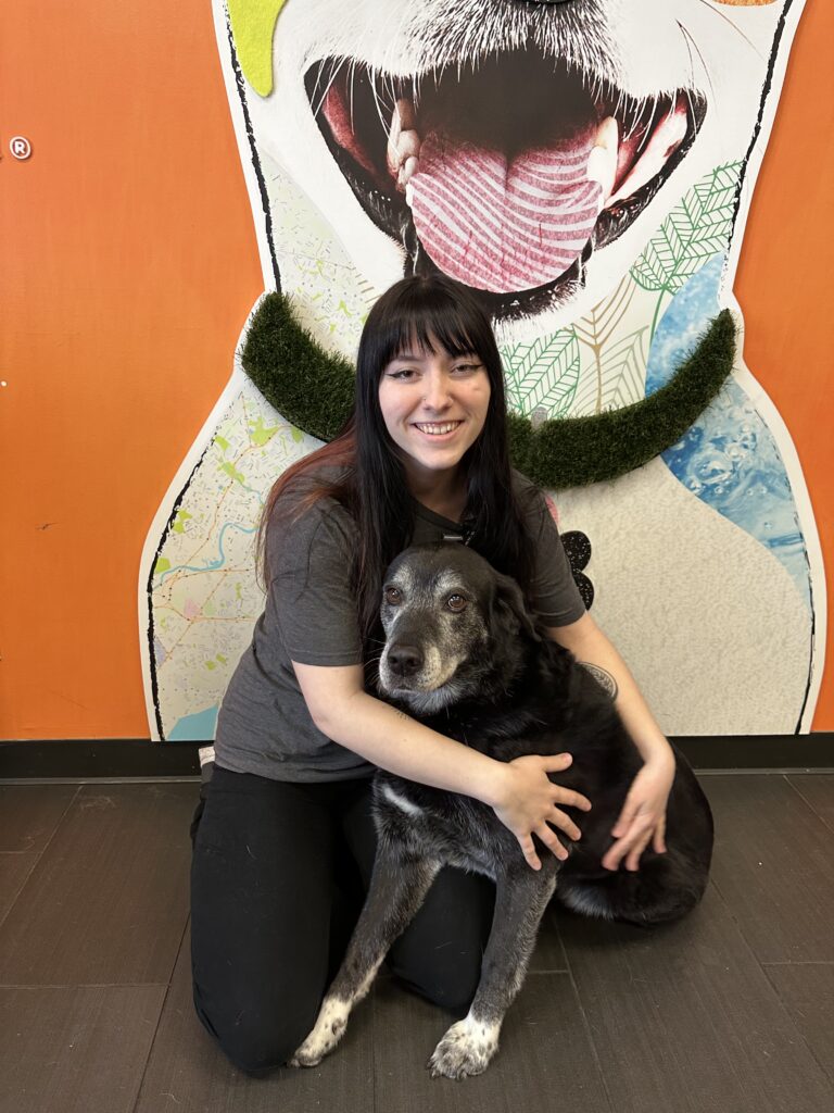 About the Team | Dogtopia Wilmington