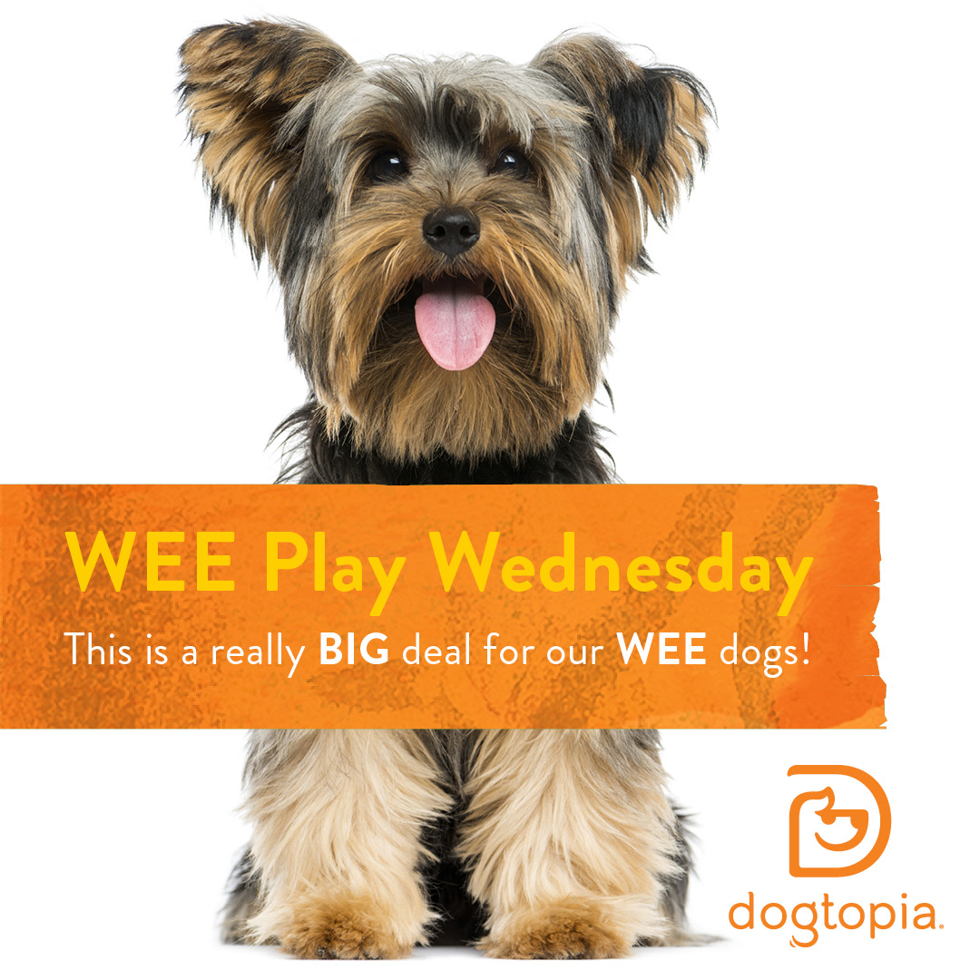 Wee-Wednesday! November 1st - Miramar