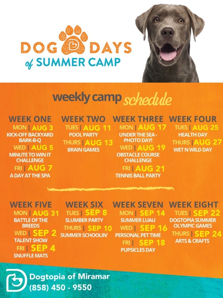 Dog Days of Summer Camp! - Miramar