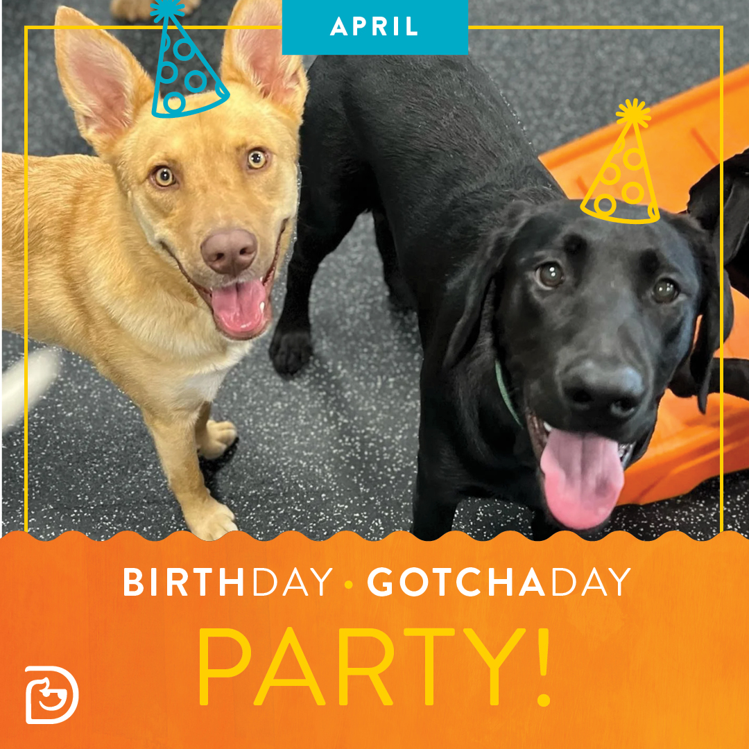 April Birthday Party - Miramar