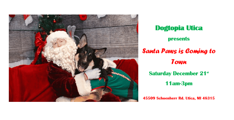 Pictures with Santa! - Utica