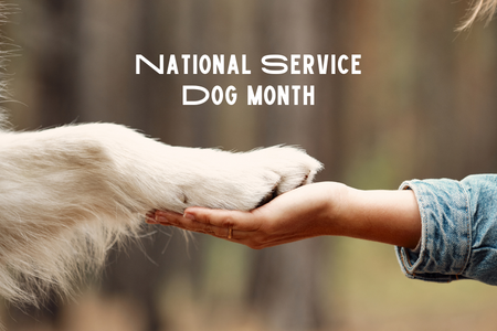 September is National Service Dog Month! - Utica