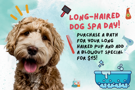 Long Haired Dog Spa Day - Utica
