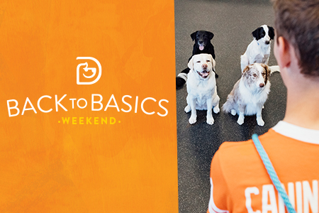 Back-to-Basics Weekend - Utica