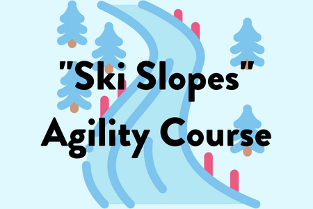 Game Day: “Ski Slopes” Agility Course - Utica