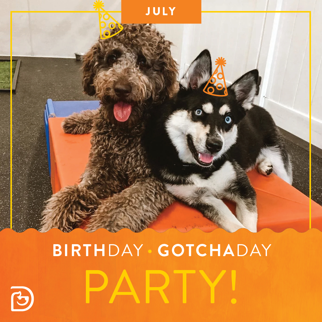 birthday and gotcha day party - Utica