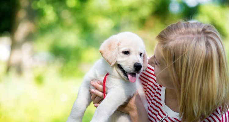 Talk Puppy To Me | Dogtopia Blog