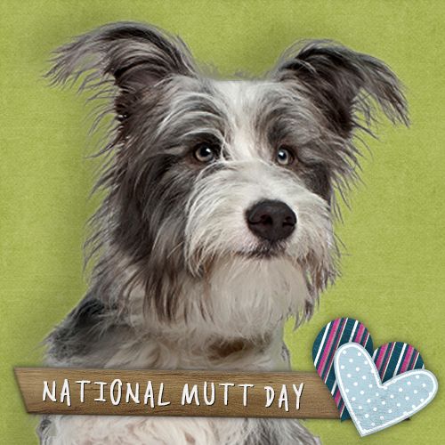 National Mutt Day! - Meadowvale