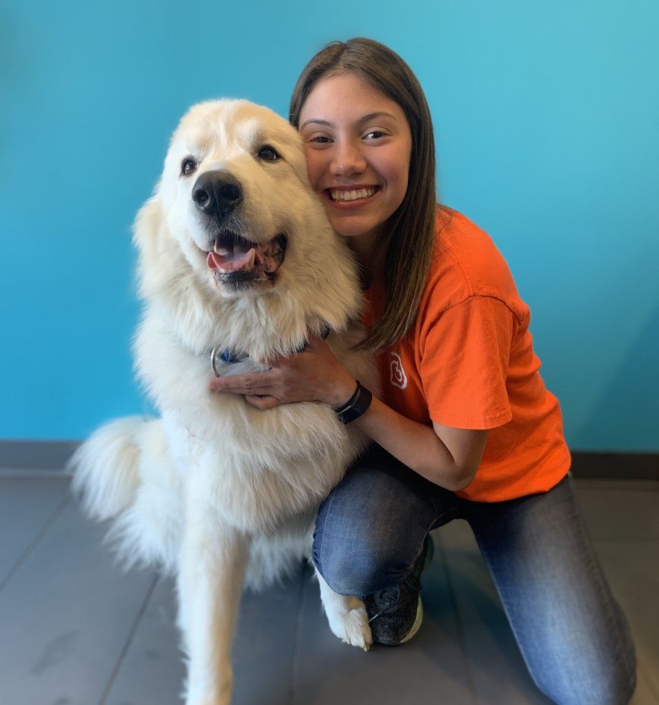 About the Team | Dogtopia Meadowvale