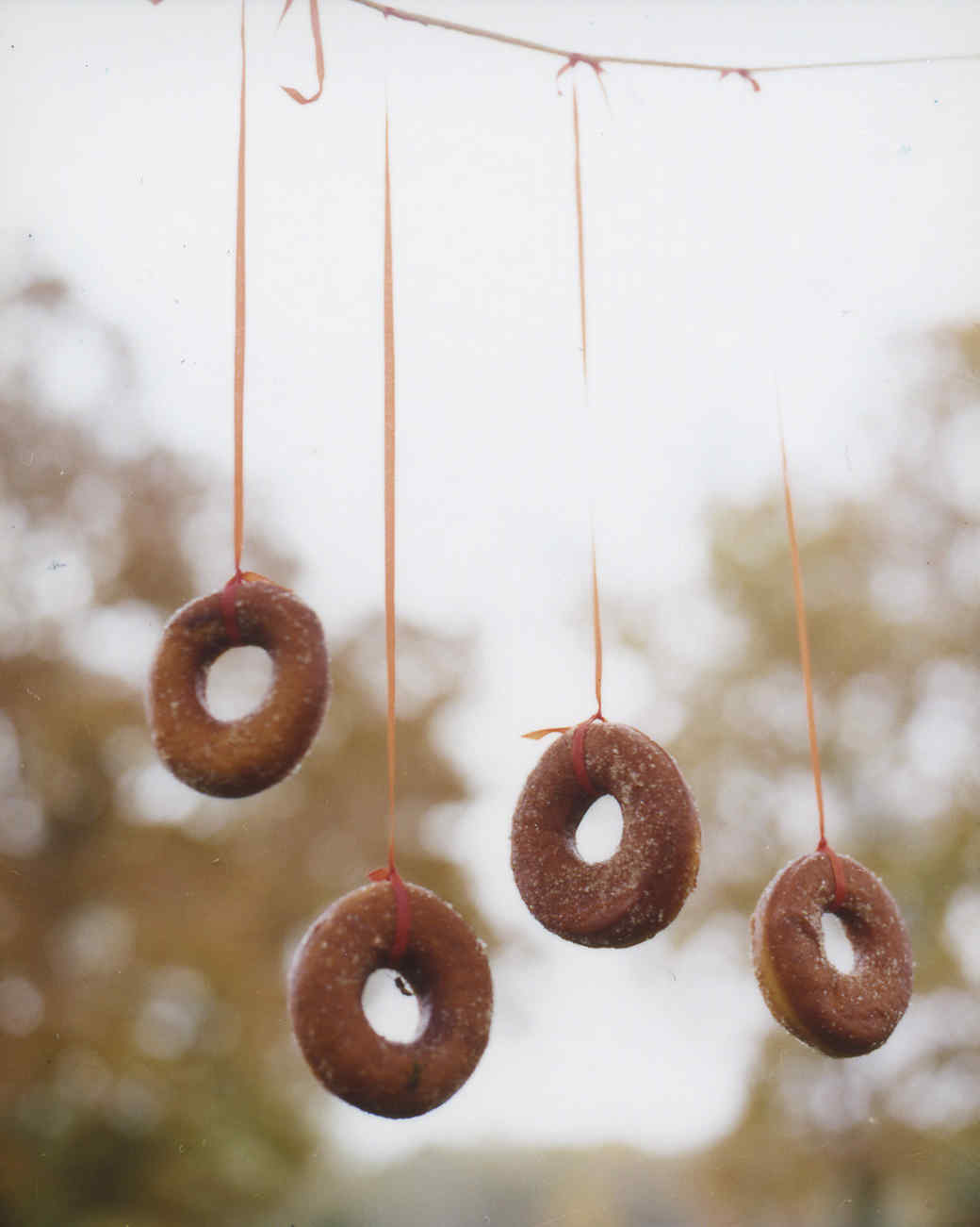 Donut On A String! - Meadowvale