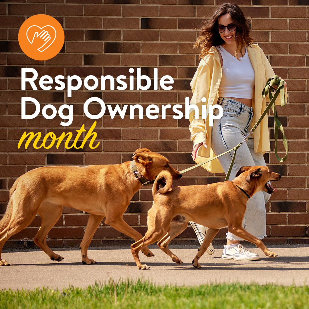 Responsible Dog Ownership Day! - Meadowvale