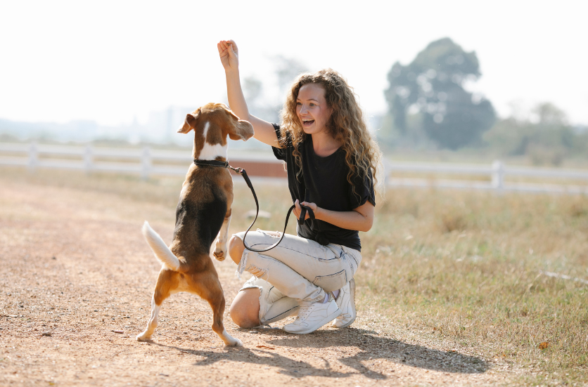 Pet Tricks Day - Meadowvale