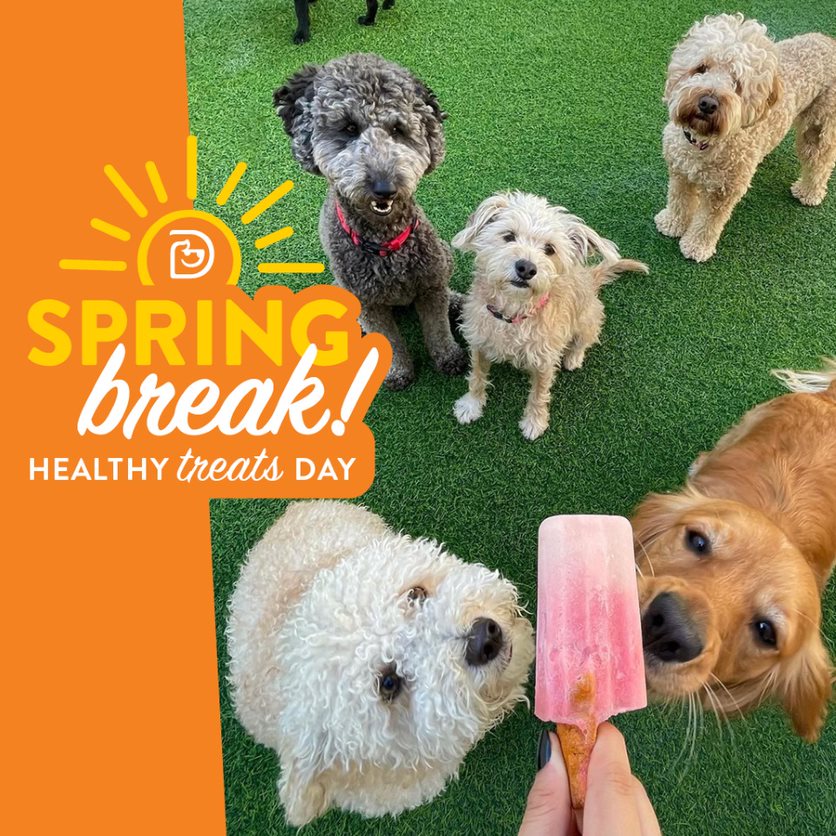 Spring Break Healthy Treat Day! - Commerce