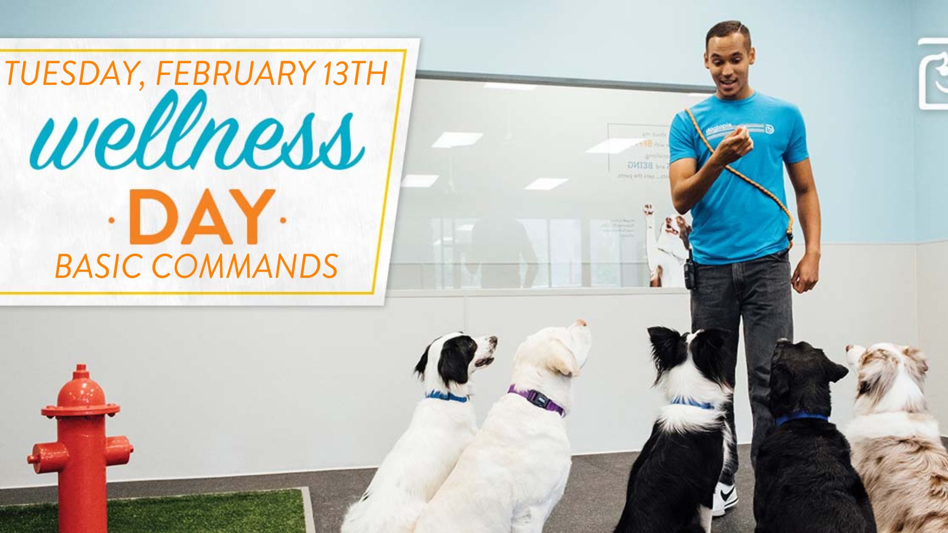 Basic Command Practice! - Commerce