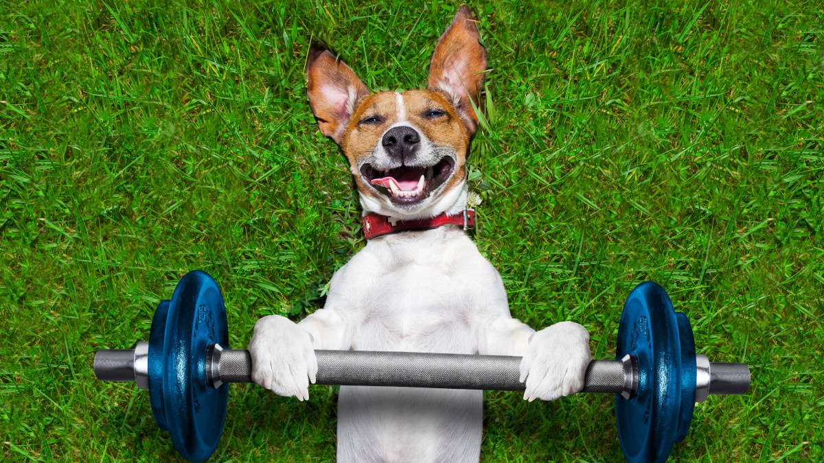 fitness-is-fun-bloomfield