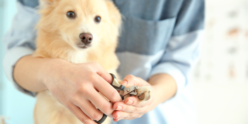 Wellness Wednesday Spa Special - Bloomfield