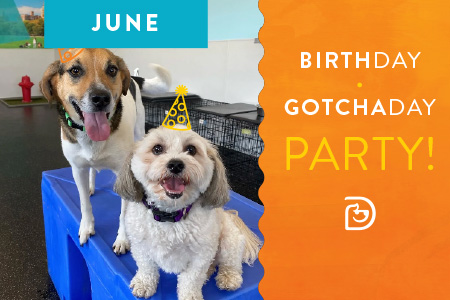 June Birthday Celebration - Bloomfield