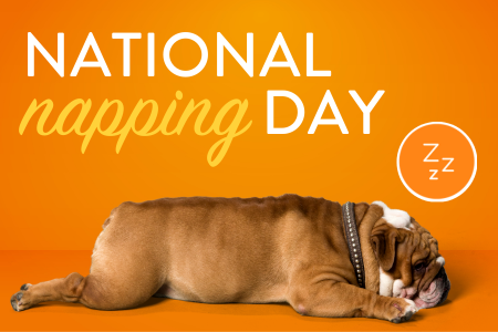 National Napping Day - Bloomfield